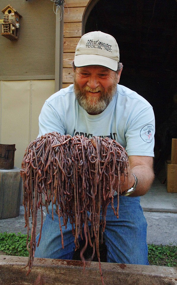 The Secret Lives of Words column: Charming worms and vermicelli | Pine ...