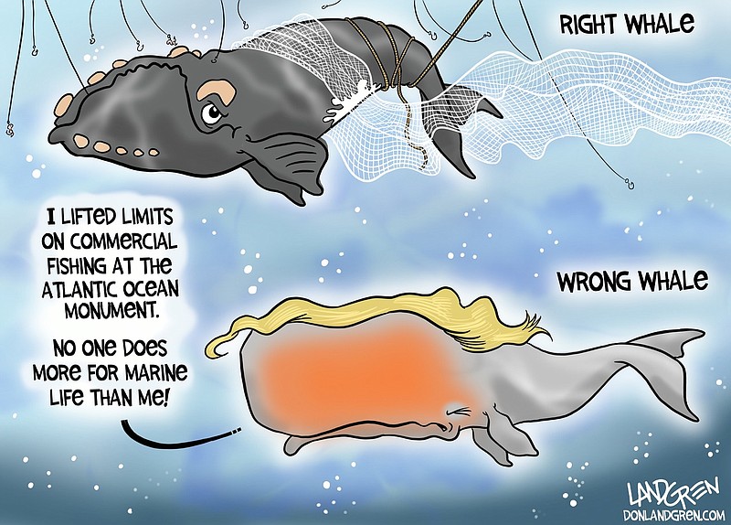 Landgren cartoon: Wrong whale