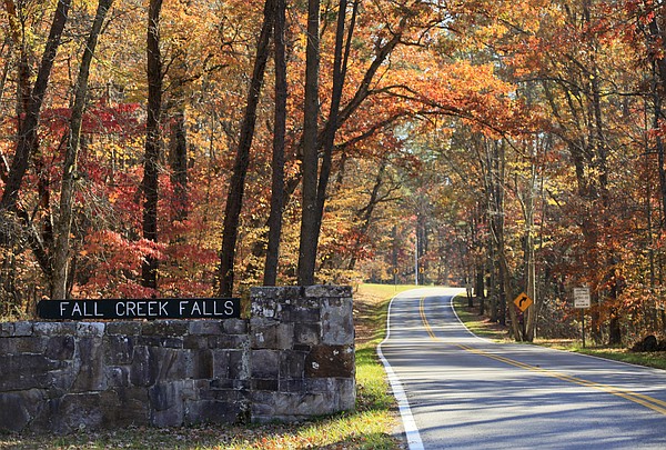 Chattanooga fall colors fading fast | Chattanooga Times Free Press