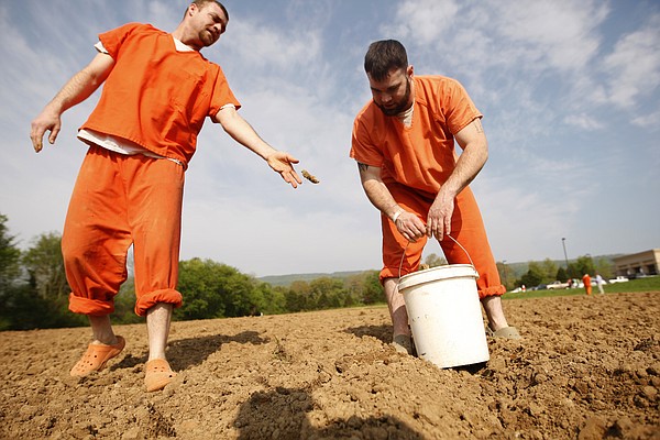 Bledsoe County prison inmates working on vegetable garden | Chattanooga ...