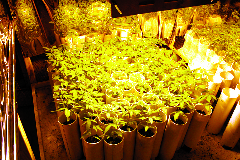 Three charged in underground pot operation in Lyerly | Chattanooga ...