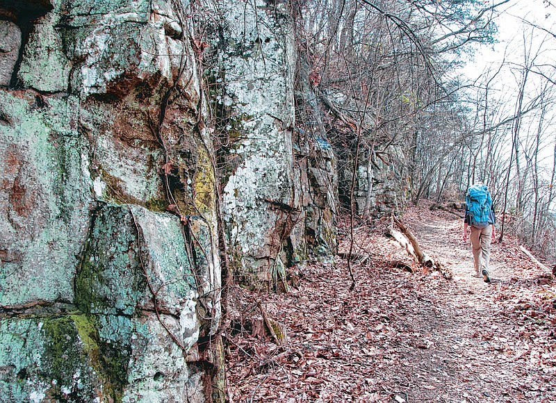 Take a Hike on the Bluff Trail | Chattanooga Times Free Press
