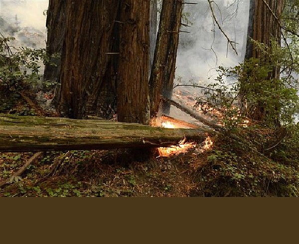 Big Sur fire destroys 15 homes, forces 100 to flee in California ...