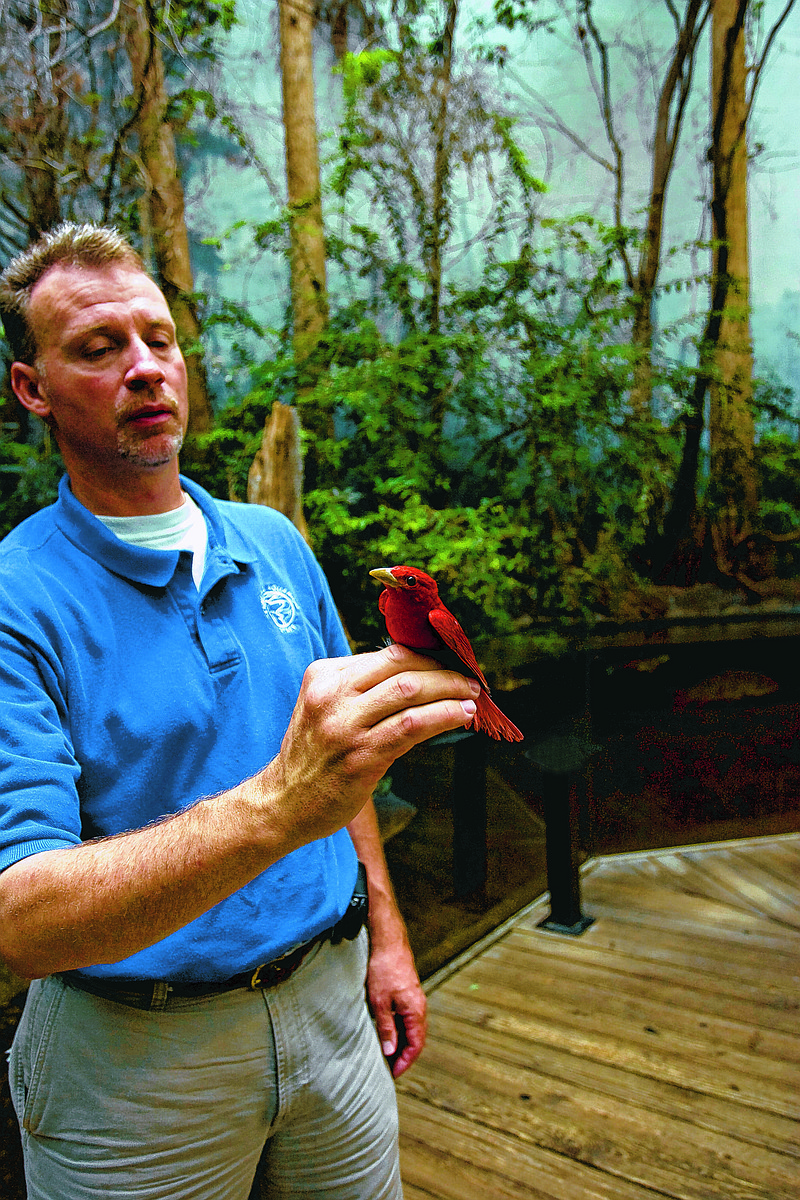 A Bird's Eye View With Kevin Calhoon | Chattanooga Times Free Press