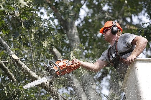 Embedded: Big Woody's Tree Service | Chattanooga Times Free Press