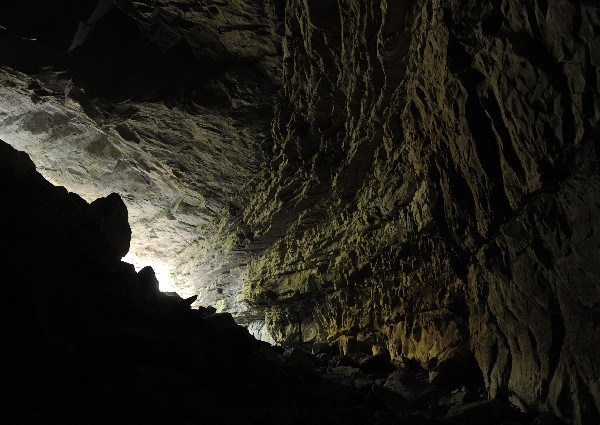 Man rescued from Pettyjohn's Cave in Walker County | Chattanooga Times ...