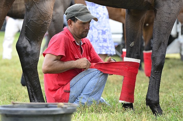 Photos: International polo match at Bendabout Farms | Chattanooga Times ...