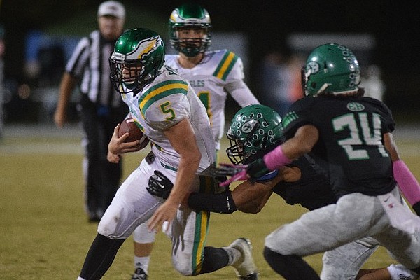 Rhea County rushes past Hurricanes, 42-14 | Chattanooga Times Free Press