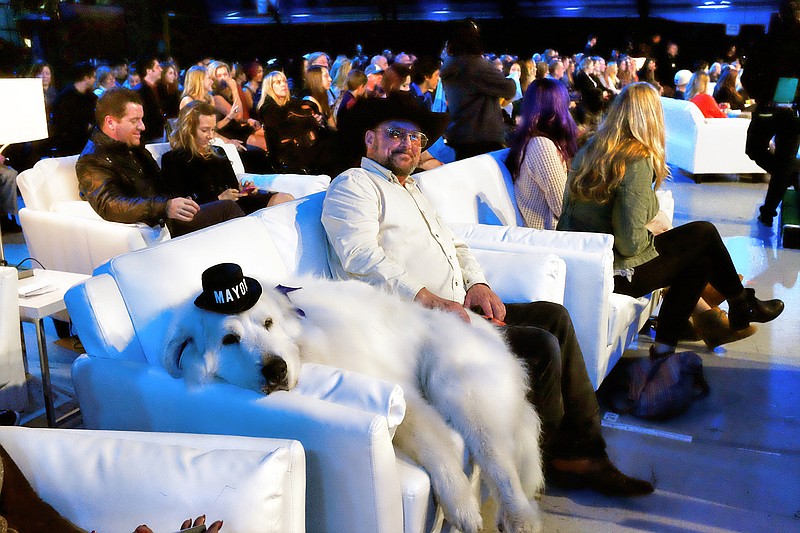 'Paw-paparazzi' take note: World Dog Awards honor star pets ...