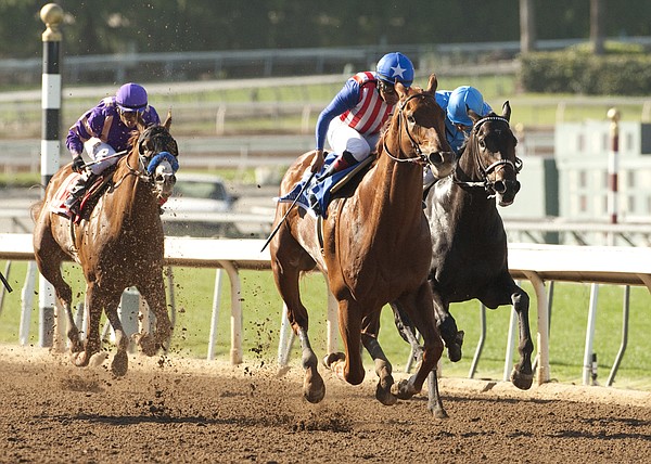 Derby Top 10: Dortmund pulling away from Derby field | Chattanooga ...
