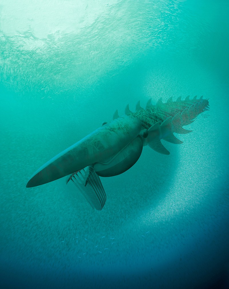 Ancient sea creature looked like a huge lobster without claws ...