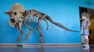 Colorado team says possible new dinosaur found in Montana | Chattanooga ...