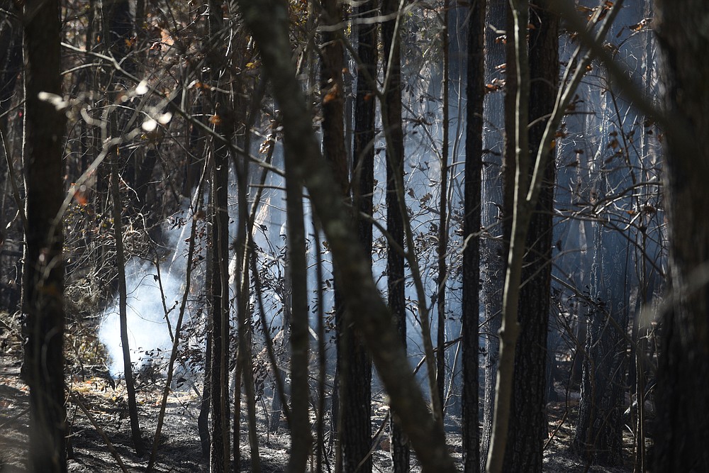Little River Canyon fire contained; Cherokee National Forest fire ...