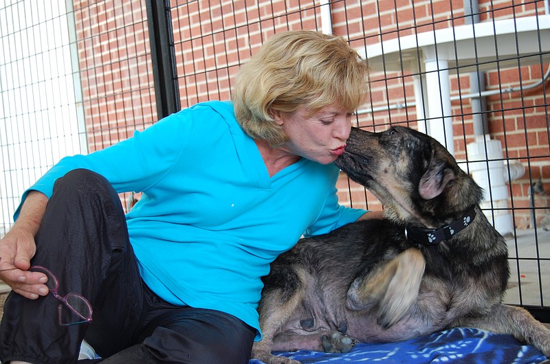 Wally's Friends celebrates 10th anniversary | Chattanooga Times Free Press