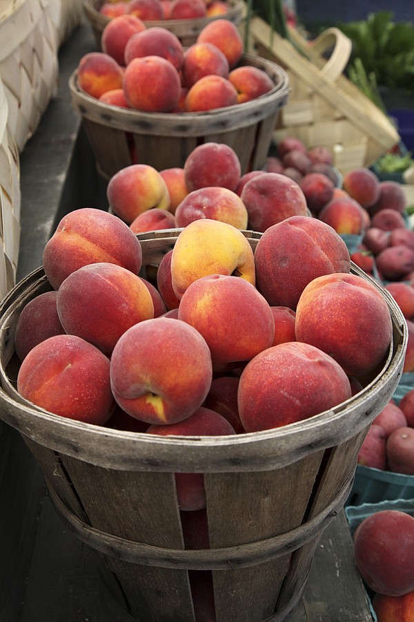 Georgia peach crop faces nearly 80 percent loss this year | Chattanooga ...