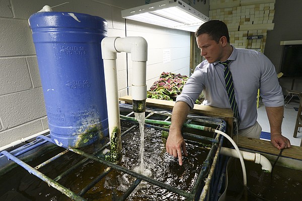 Walker County, Ga., taps celebrated principal for administration role ...