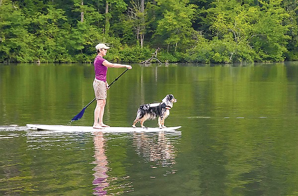 What's 'SUP, pup? An introductory guide to SUP'ing with your dog ...