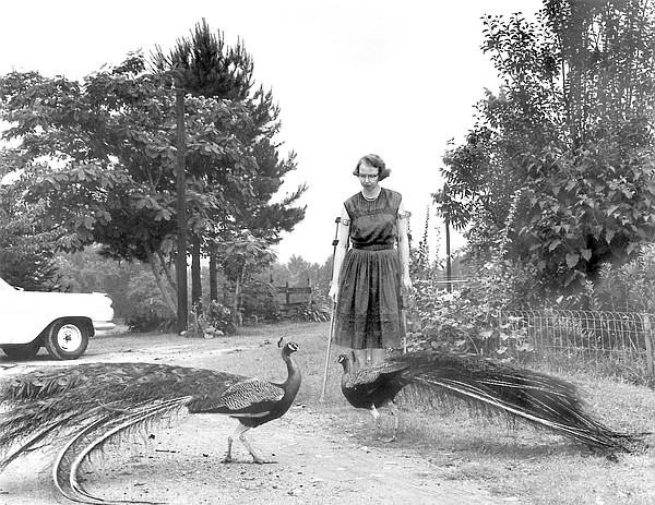 Flannery O'Connor's Andalusia farm gifted to Georgia College ...
