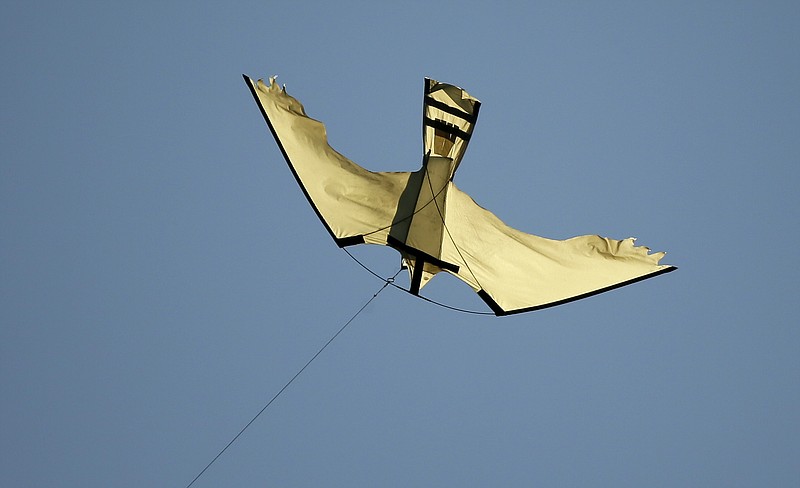 Gulls: Winningest team in San Francisco Bay Area baseball | Chattanooga ...