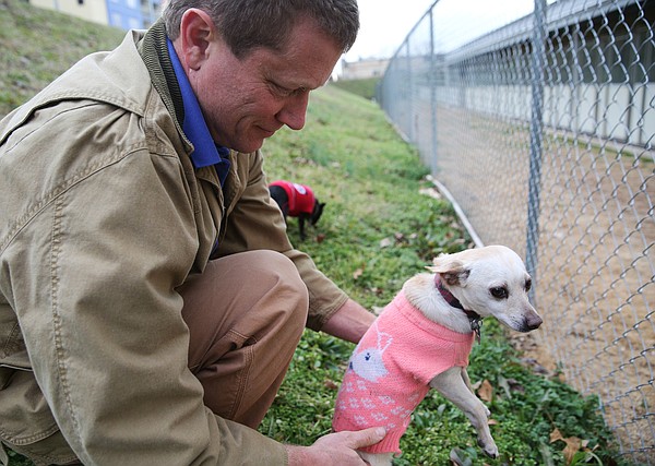 Chilly dogs: It's still sweater weather for many pets | Chattanooga ...