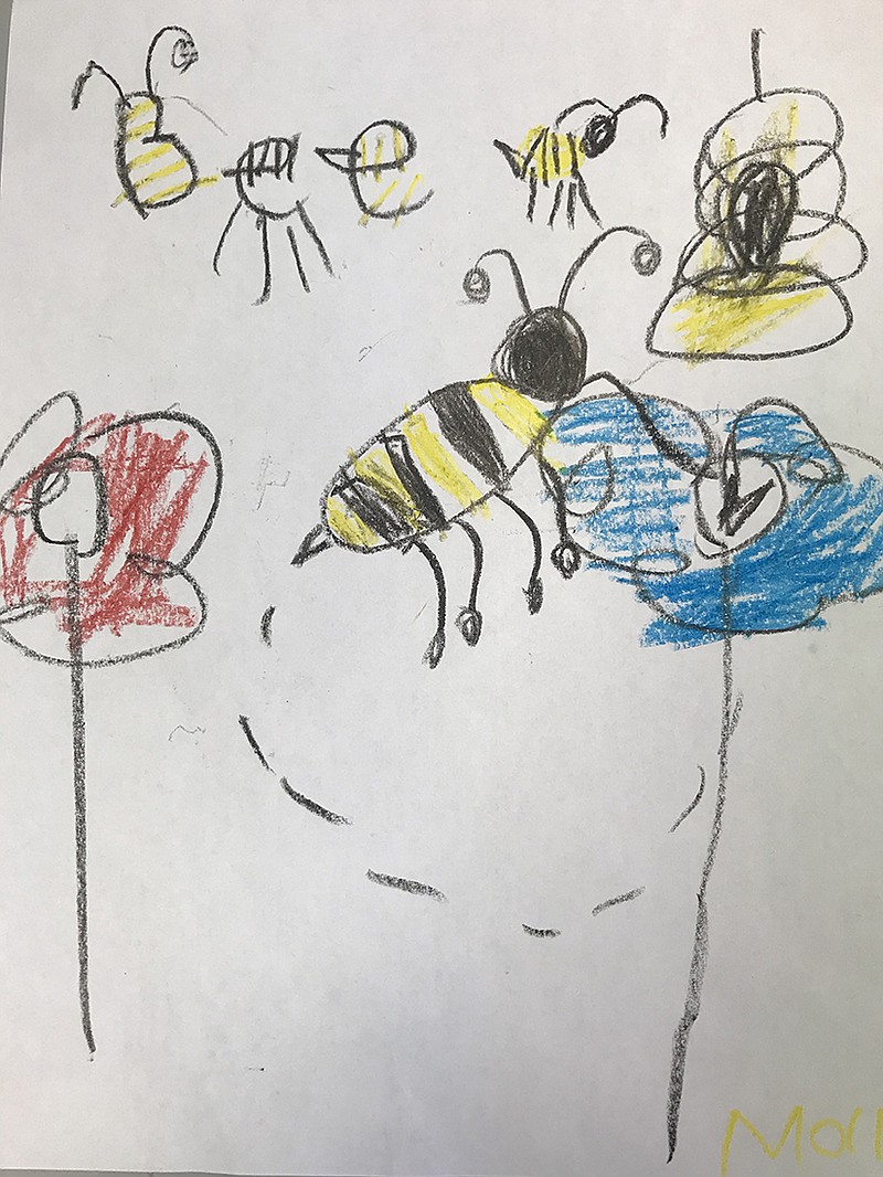 Drawn to bees: Children's art contest added to this year's Honey ...