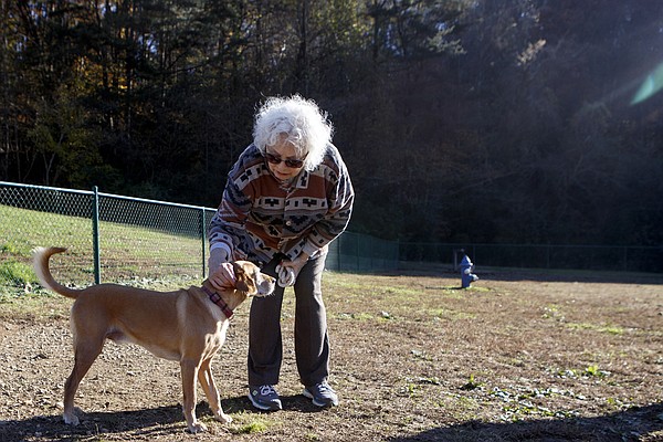 Aging with animals: Pets can help older adults, but they come with ...