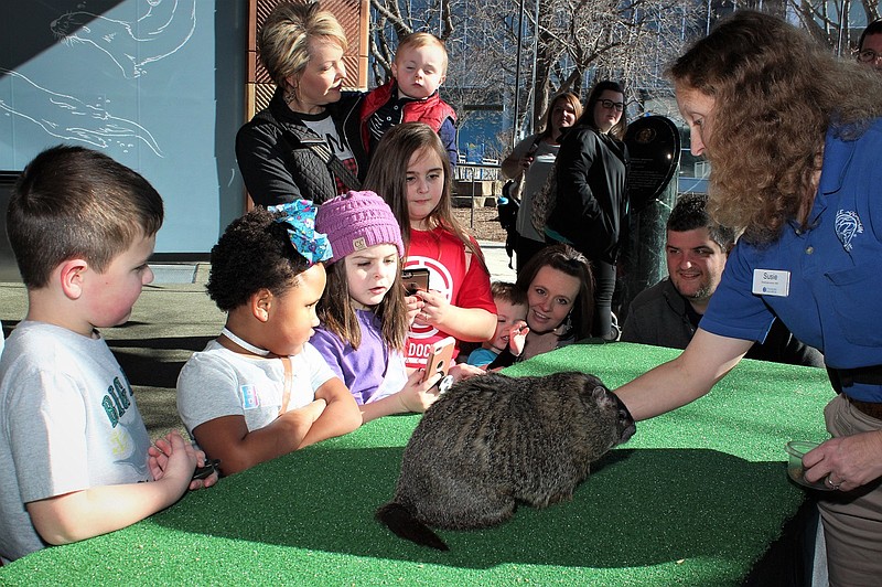 Chattanooga Chuck sees shadow, conflicting Punxsutawney Phil forecast ...