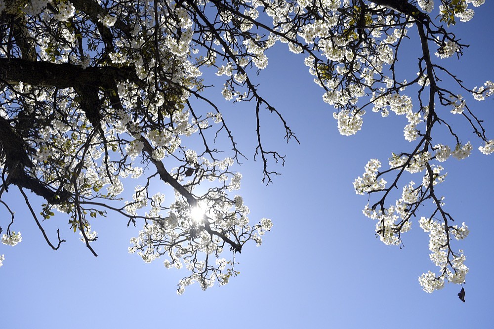 Photo of the Day | Chattanooga Times Free Press