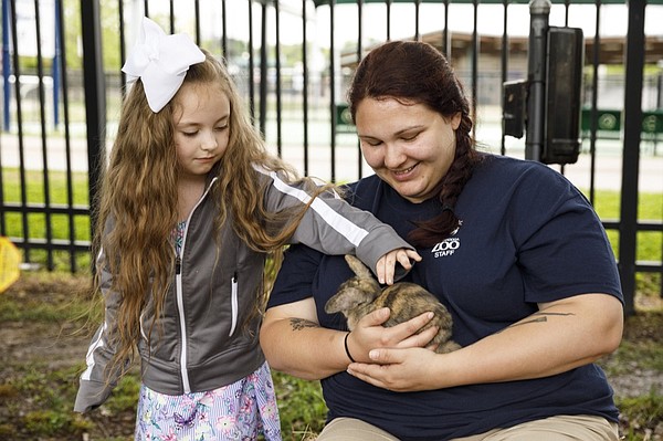 Photos: Hug-a-Bunny event at the Chattanooga Zoo | Chattanooga Times ...