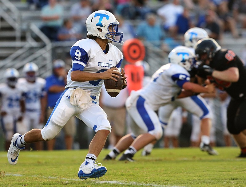 Trion Bulldogs' veteran defense should make up for lack of depth on ...