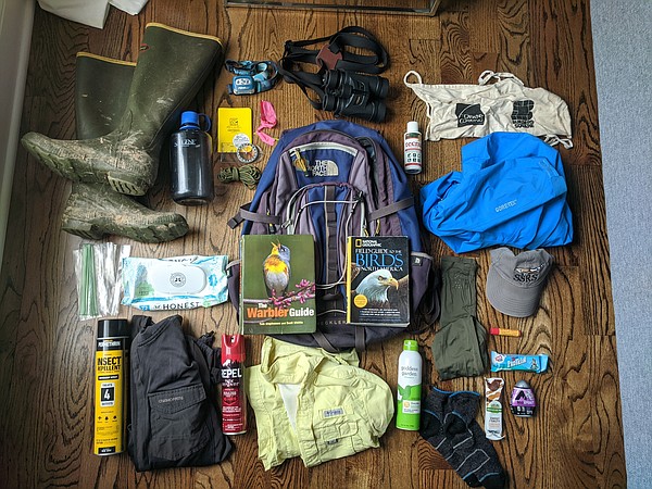 Nova Conservation founder Laura Marsh talks conservation and shares her ...
