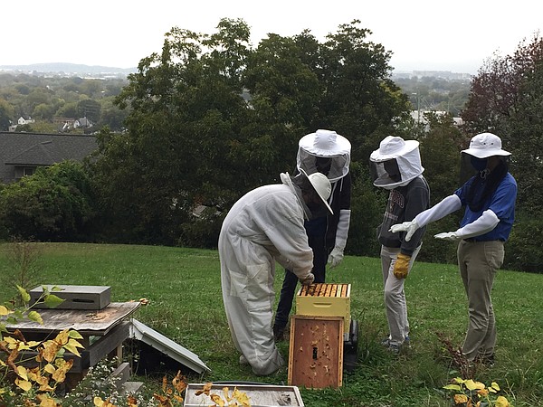 McCallie School beekeepers see themselves as protectors of the bees ...