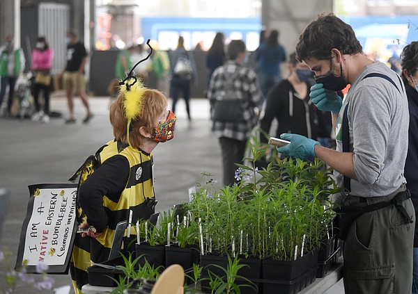 Photo of the Day | Chattanooga Times Free Press