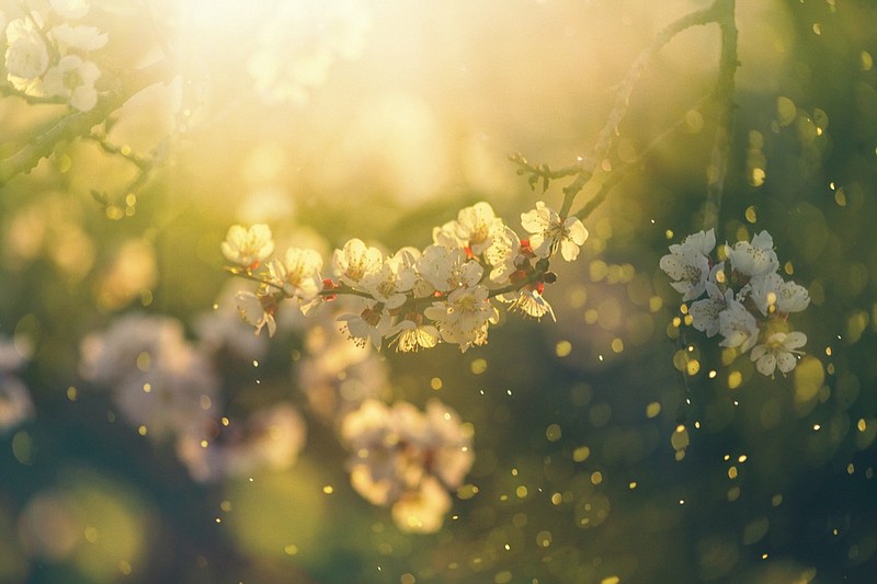 It could be more than pollen causing your allergy symptoms ...
