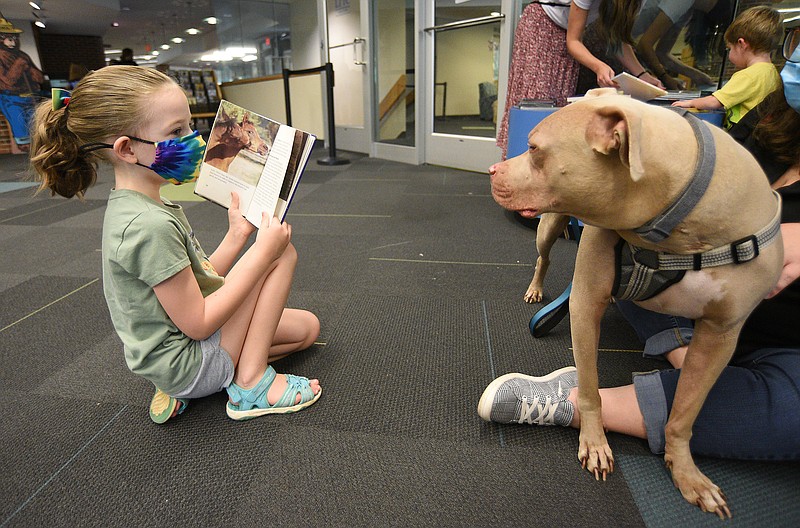 Photo of the Day | Chattanooga Times Free Press