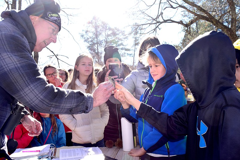 Photo of the Day | Chattanooga Times Free Press