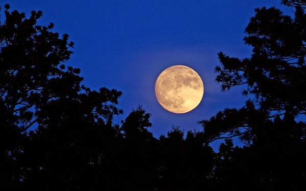 Photo of the Day | Chattanooga Times Free Press